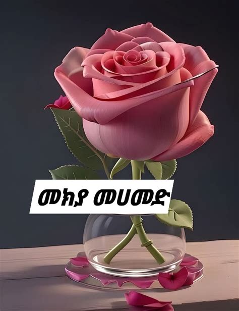 አትፎካከሩ የሱናዋ ንግስት መጥፎ ሀሳብ እሚያስብ ሰው ይወድቃል እራሱን በራሱ ይጠልፋል ምንም አይነት ችግር