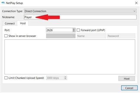 Dolphin Emulator Netplay