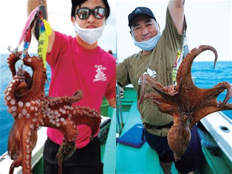 秋蛸根掛かり知らず餌木タコ天国のアドバイス釣りまとめアンテナ
