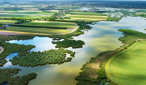 Biodiversity Professionals How To Protect And Restore Ecosystems Vikim Solutions Posted On