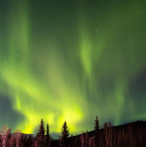 Alaskan Igloo Northern Lights Shelly Lighting