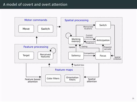 neural fields a cognitive approach ppt