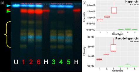 Analytical Detection Of Hypericin And Pseudohypericin In G Pt Red