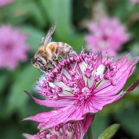 Stewart Spinks On Linkedin Norfolkhoneyco Stewartspinks