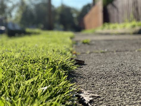 Grass Path Pavement Free Photo On Pixabay Pixabay