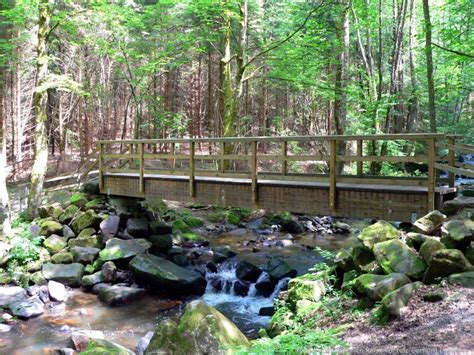 Wandern in der Saußbachklamm Waldkirchen Wanderweg bei Freyung Grafenau