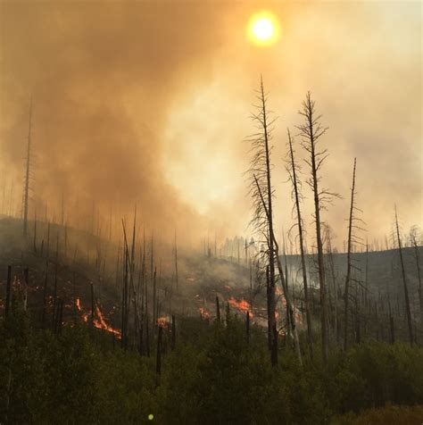 Remote Sensing Of Forests Aids Understanding Of Catastrophic Wildfires