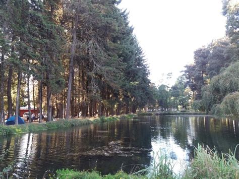 Turismo En Lautaro 2024 Viajes A Lautaro Chile Consejos Opiniones