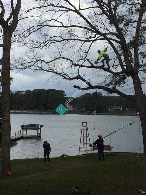 Bishops Tree Service Virginia Beach