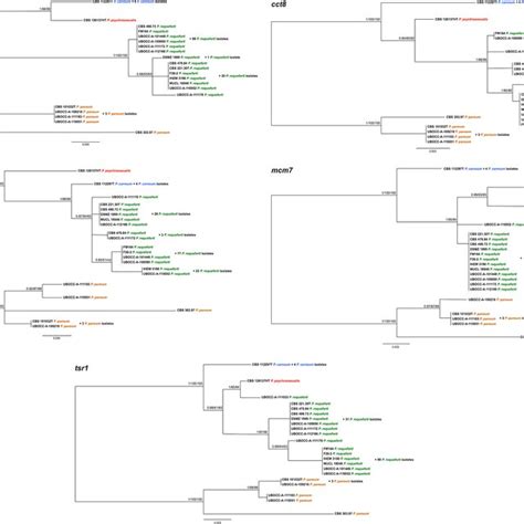 Factorial Correspondence Analysis Individual Factor Map Protected Download Scientific Diagram