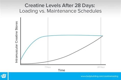 Is Creatine Safe Everything You Need To Know