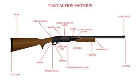 Labeled Shotgun Diagram Stock Vector Illustration Of Steel 33392141