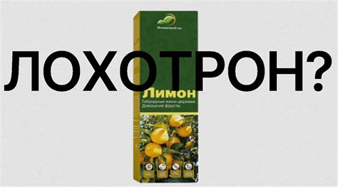 ВсеАферы ру самые новые аферы и лохотроны 2024 года