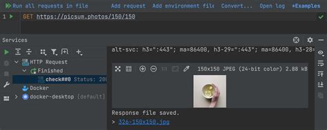Goland 2021 3 Eap 6 Type Inference For Generics Remote Development Grpc Requests In The