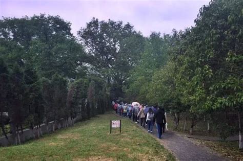 南京紫金山徒步路线图 南紫金山山顶 南紫金山图片 第17页 大山谷图库