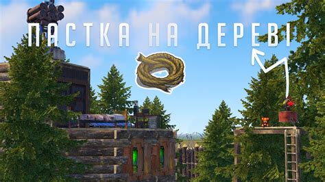 ПАСТКА на ДЕРЕВІ не ПОМІТНА ПАСТКА на ДЕРЕВІ в грі Раст Rust Youtube