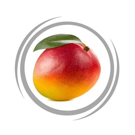 Mango Trees Perth Mobile Nursery Perth Wa