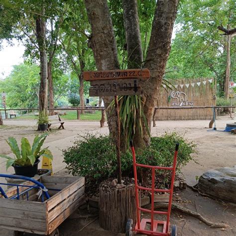 ลานช้าง Camping ️ 💦☕️🐘🏕 ️ หนาวแล้วไง ลานช้าง Camping