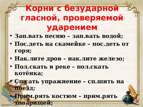Правописание гласных в корне 10 класс