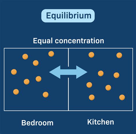 Diffusion Equilibrium Biology Simple