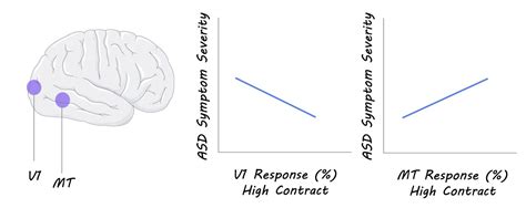 Altered Hierarchical Interactions In Visual Processing In Autism
