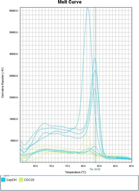 Help With Interpreting Melting Curve For Qrt Pcr Researchgate