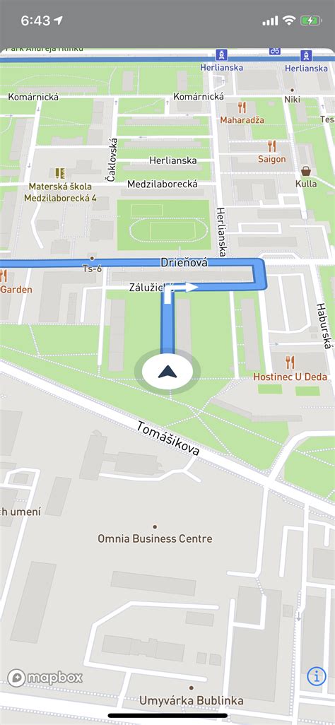 Usercourseview Puck Is Off Issue Mapbox Mapbox Navigation Ios