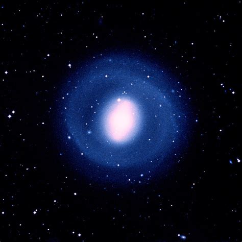 Galaxy Ngc 1291 Photograph By Celestial Image Co Pixels
