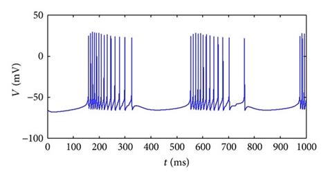 The Firing Pattern Of A Single Neuron Download Scientific Diagram