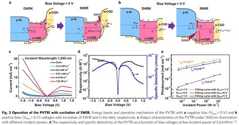 Image Sensors World Swir Quantum Dot Triodes