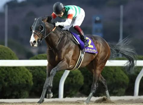 バーデンヴァイラー 佐賀記念制覇で地方交流重賞2勝目！ ～turf Of Dreams～ 一口馬主引退間近の奇跡【軌跡】