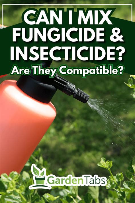 Can I Mix Fungicide And Insecticide Are They Compatible