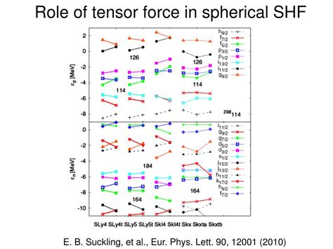 Ppt Effect Of Tensor Interaction On Shell Structure Of Heavy And Superheavy Nuclei Powerpoint