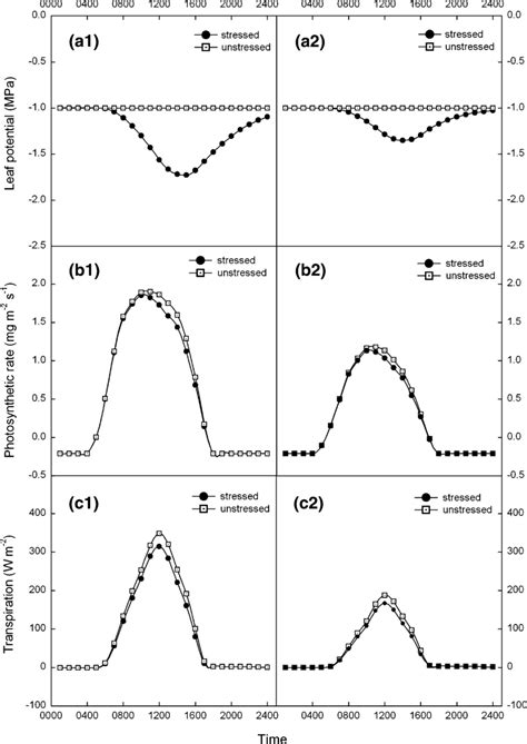 Diurnal Variations Of Leaf Water Potential Co 2 And Water Vapour