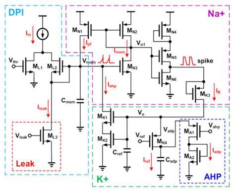 55 Nm Cmos Mixed Signal Neuromorphic Circuits For Constructing Energy Efficient Reconfigurable Snns