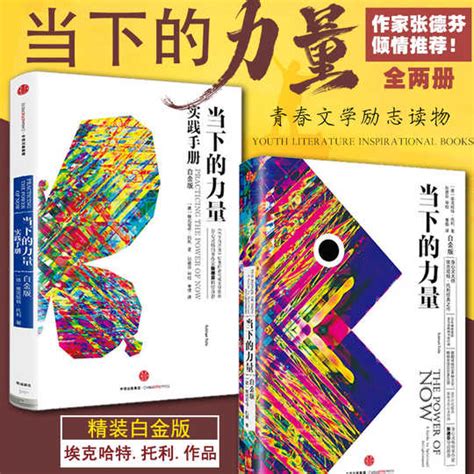 当下的力量白金版套装（2册）：当下的力量当下的力量实践手册 Ocean Bookstore 海洋书屋