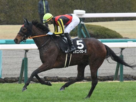 【フラワーc出走馬・騎手確定】スタニングローズand川田将雅騎手、シンティレーションand横山武史騎手など12頭 競馬ニュース Netkeiba