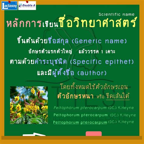 📌📌📌 หลักการเขียนชื่อวิทยาศาสตร์ Botanical Contest