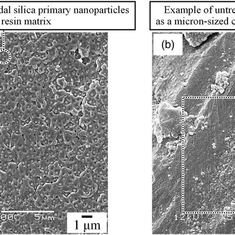 Sem Micrographs Of Selected Areas Of Epoxy Resin Composites Fabricated