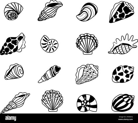 Seashells Sketch