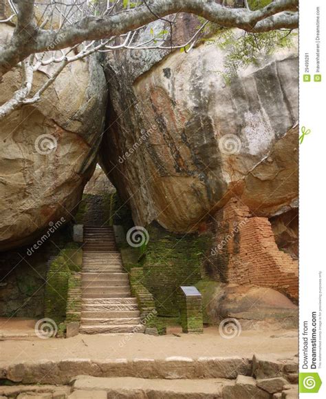 Los Leones Oscilan Sigiriya En Sri Lanka Imagen De Archivo Imagen