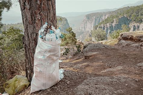 산의 자연 공원에서 쓰레기와 쓰레기의 큰 가방 환경의 인류학적 오염의 사회적 문제 삼림에 대한 스톡 사진 및 기타 이미지