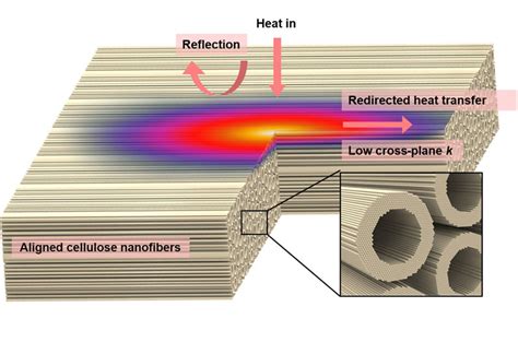 Sustainable Insulation Material Is Made From Wood