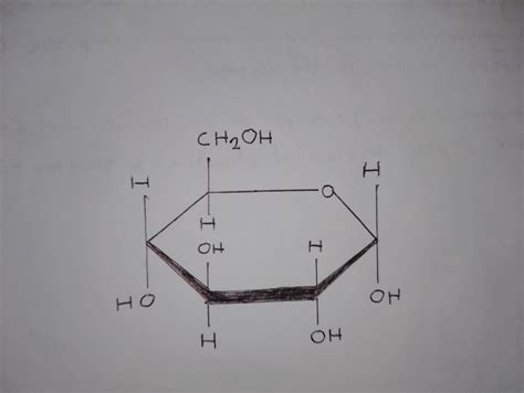 [solved] 2 Draw The Monosaccharide Glucose Using O And H To Represent Course Hero