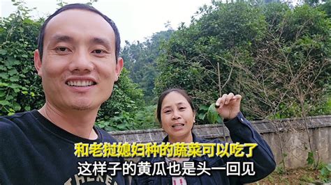在长沙和老挝媳妇种的蔬菜可以吃了，这样结的黄瓜也是头一回见 Youtube