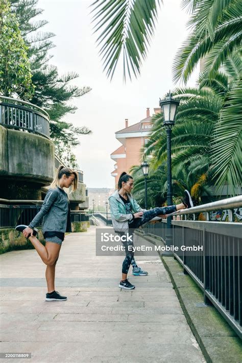 시내에서 훈련하기 전에 다리를 스트레칭하는 여성 러너 25 29세에 대한 스톡 사진 및 기타 이미지 25 29세 3 명 30 34세 Istock