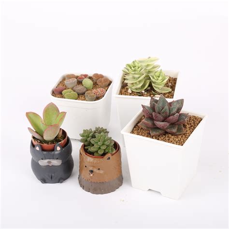 台中 中友百貨 小農市集 彰化 閉展尾聲 彰化主題週 813六~814日