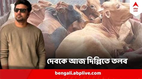 Ed Summoned Actor Dev Today At Delhi Ed Summoned Actor Dev আজই গরু