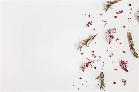 가을 구성 붉은 꽃 유칼립투스 잎 회색 배경에 열매로 만든 패턴 가을 가을 추수 감사절 개념입니다 플랫 레이 상단 보기 복사