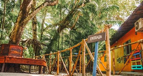 15 Museus Para Visitar No Brasil De Sul A Norte Carpe Mundi